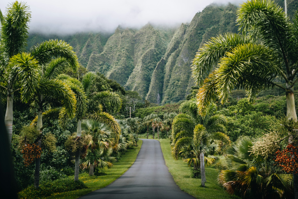 The Most Scenic Routes in Oahu: Ride in Style