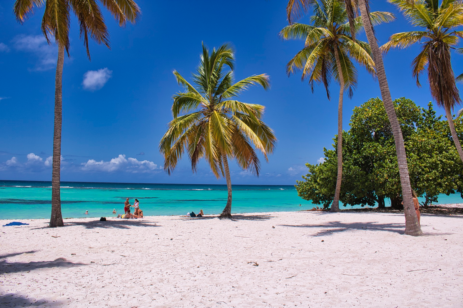 Magic Island